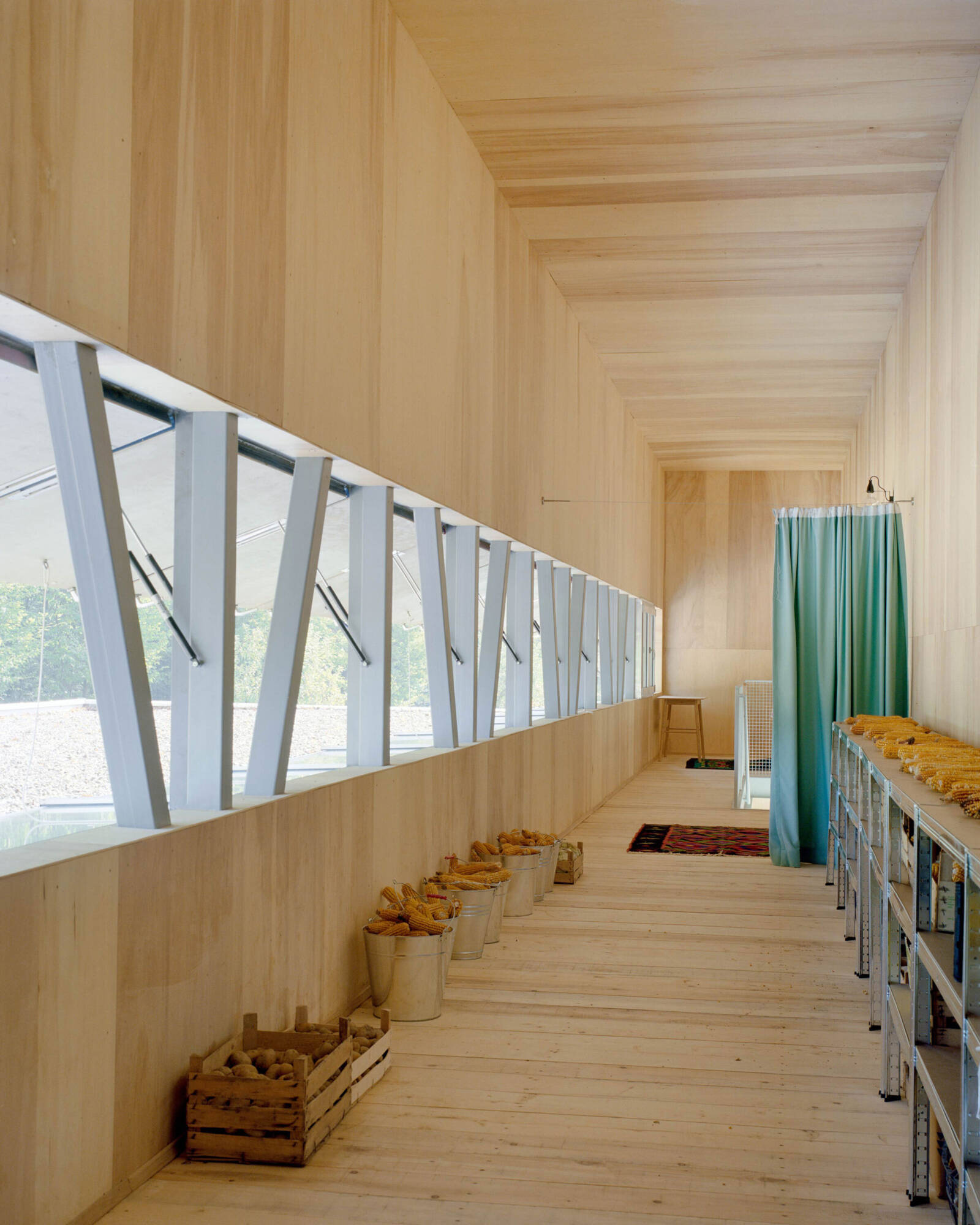 House for five women — TEN